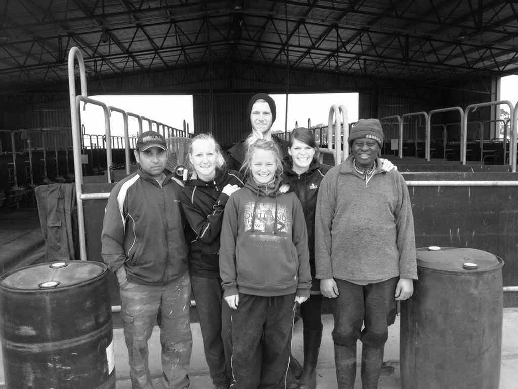 Calf Management –A Look at Successful Calf Programs - Cowsmo