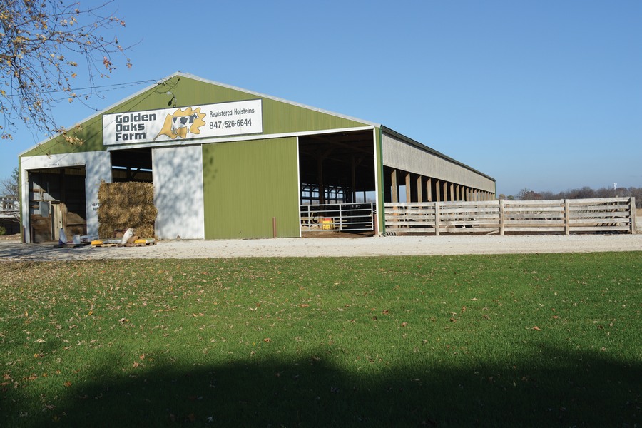 The Magnificent Colors of Golden Oaks Farm - Cowsmo