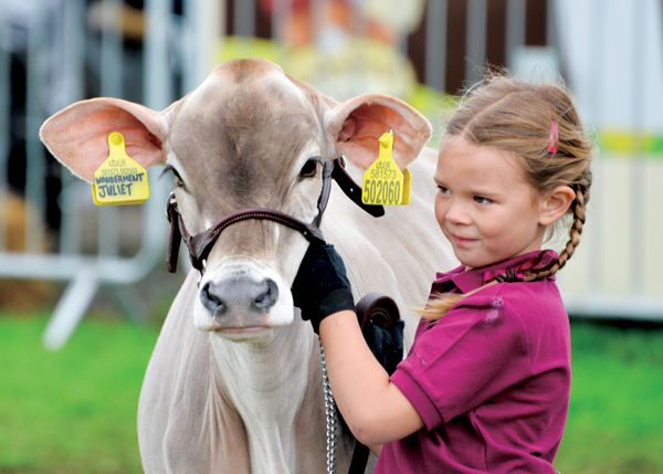 Kedar- Focus On The Future - Cowsmo