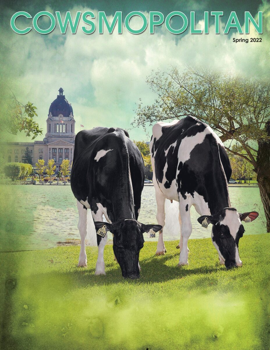 Cowsmopolitan Subscription - Cowsmo