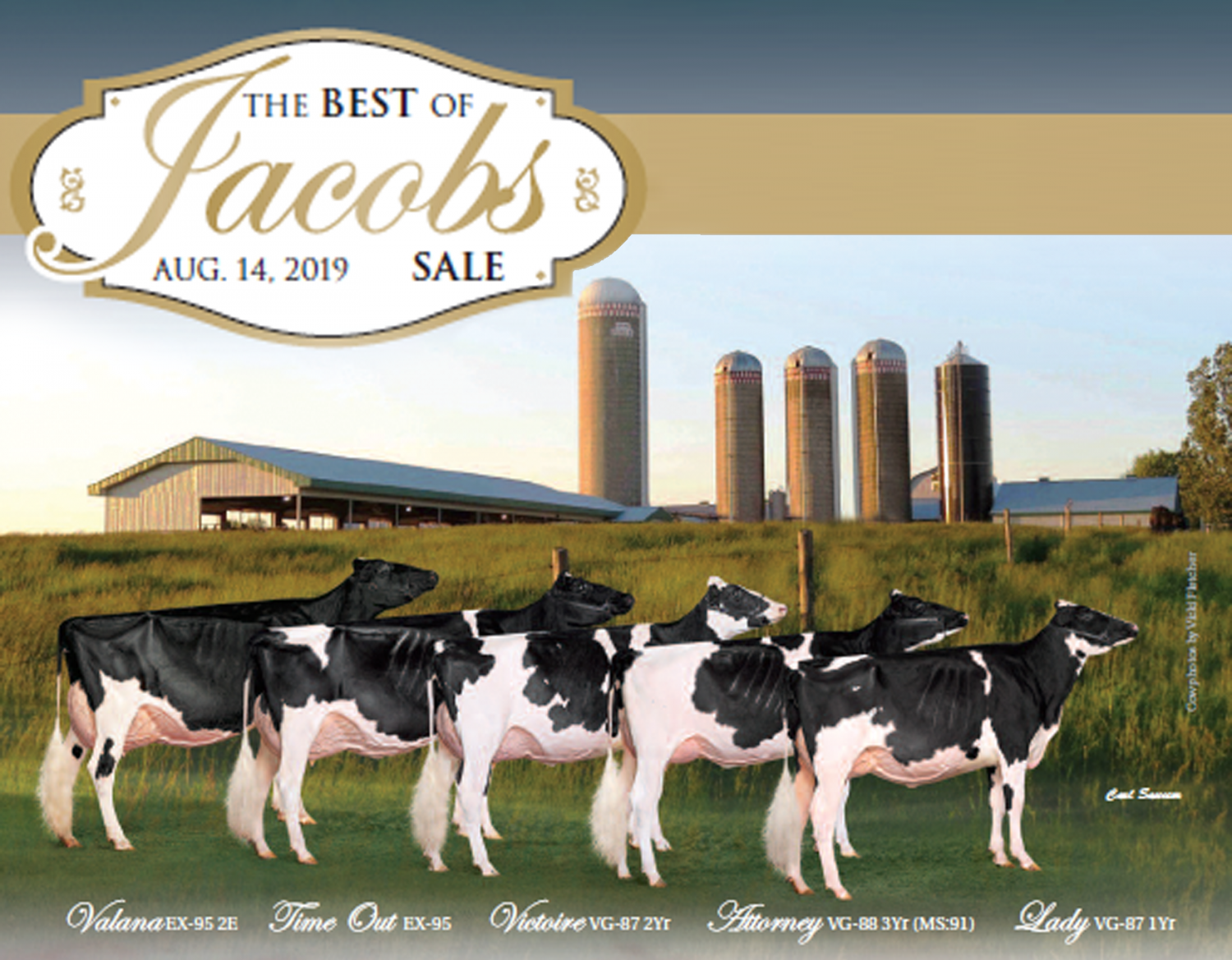 The Best of Jacobs Sale lives up to the hype - Cowsmo
