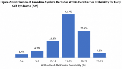 Curly Calf Syndrome in Ayrshires - Cowsmo