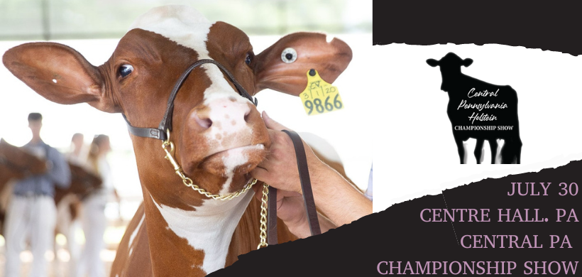 Cowsmopolitan Dairy Magazine | Dairy Industry News, Shows, Sales & More