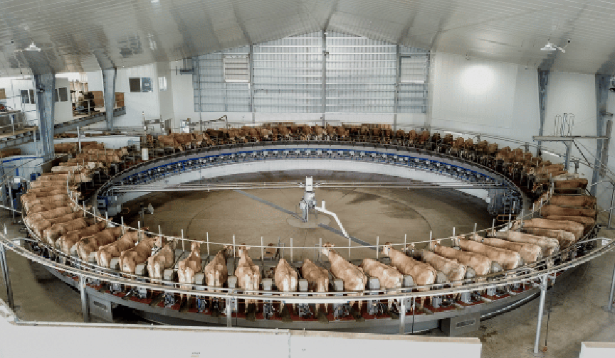 DeLaval Launches Next-Generation E-series Rotary Milking System - Cowsmo