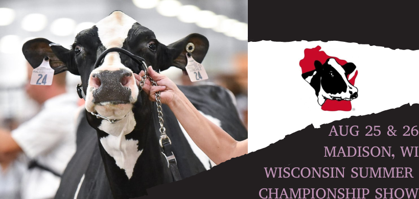 Cowsmopolitan Dairy Magazine | Dairy Industry News, Shows, Sales & More