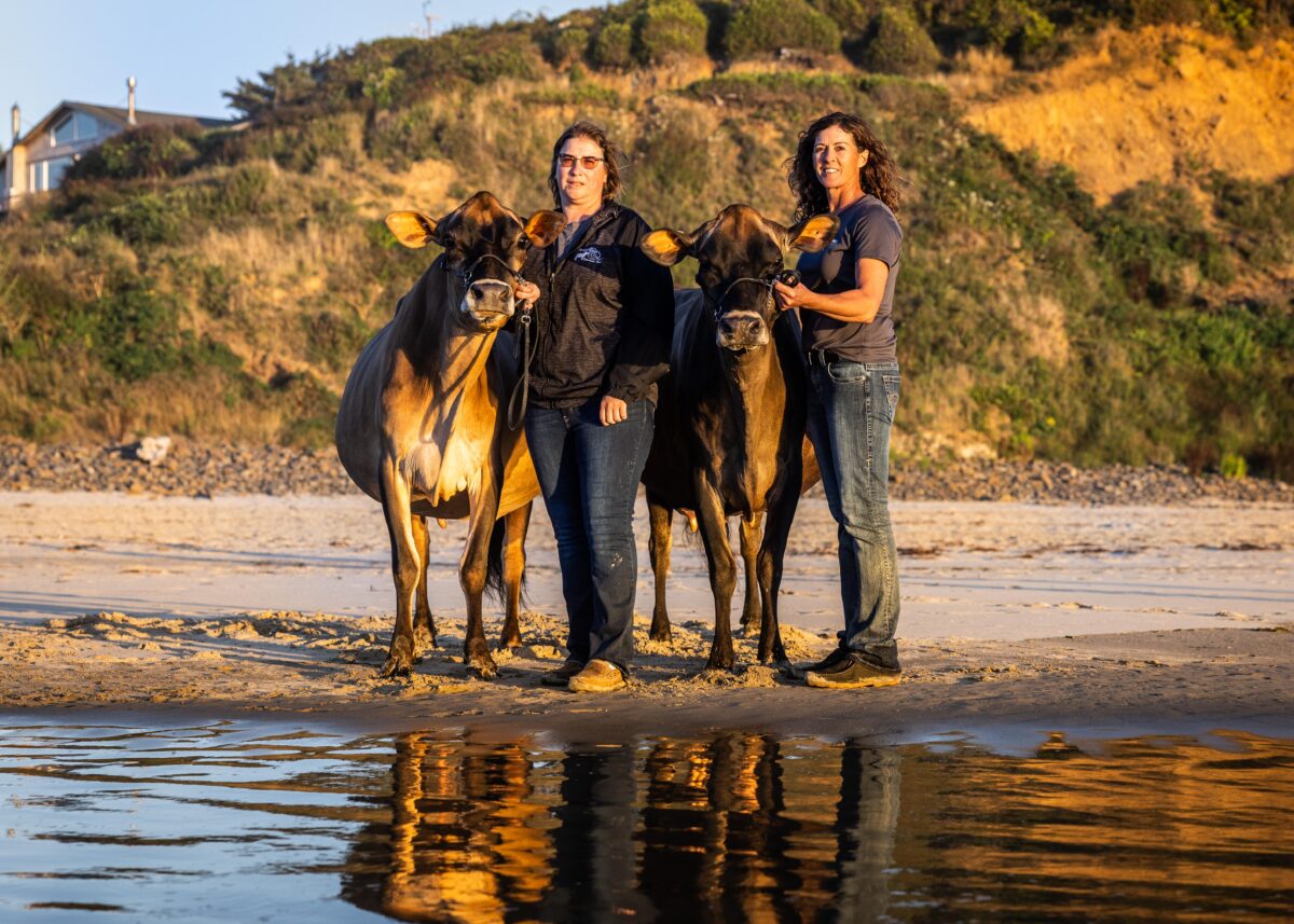 Pacific Edge - Jerseys on the Western Edge - Cowsmo