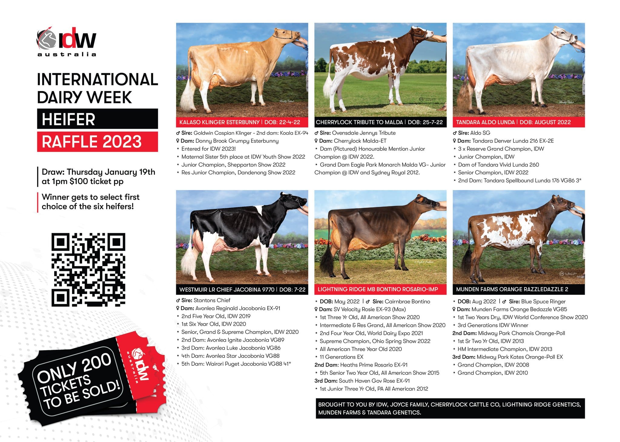 International Dairy Week Heifer Raffle 2023 - Cowsmo