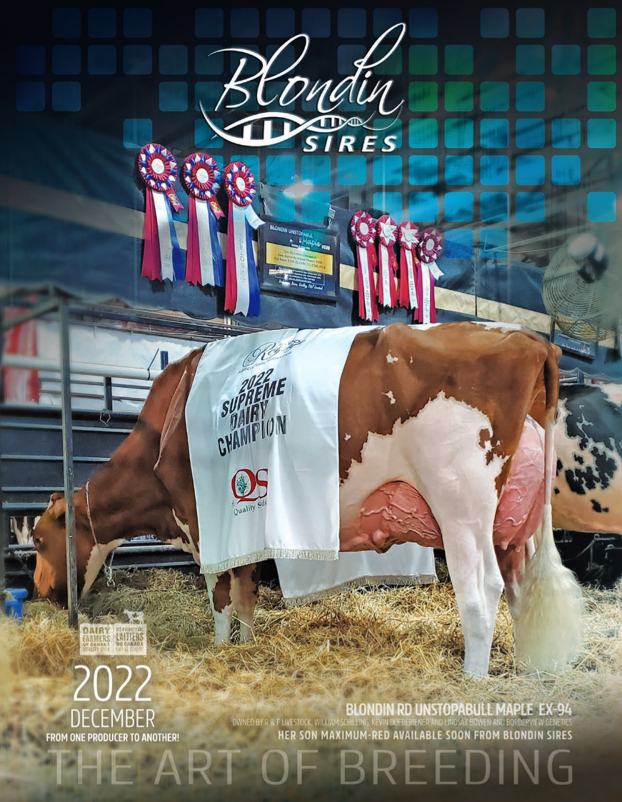 IDW 2023: Australia's National Holstein Show - Cowsmo