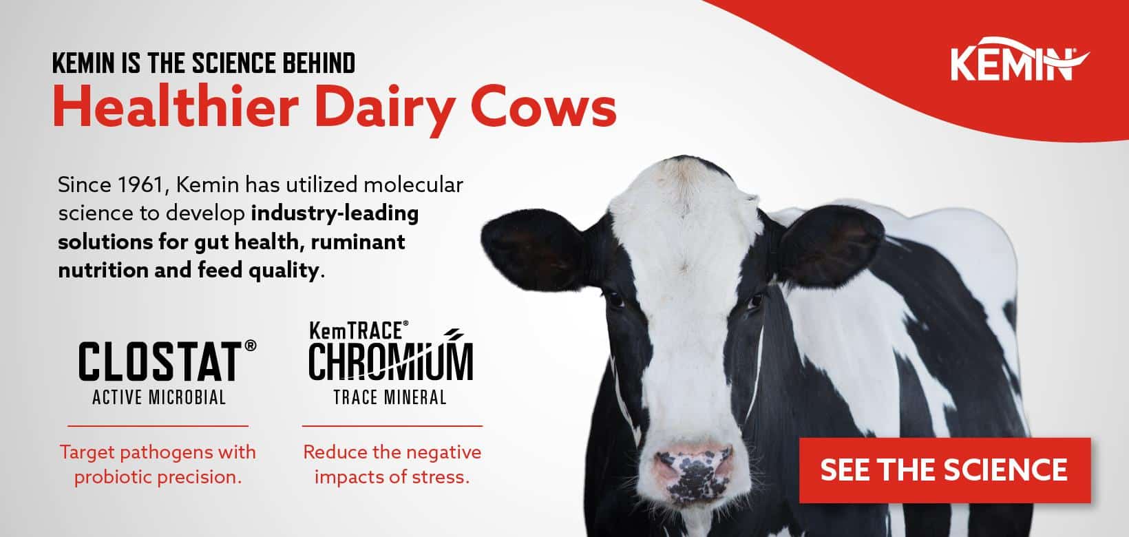 Midwest National Spring Red & White Show 2023 - Cowsmo