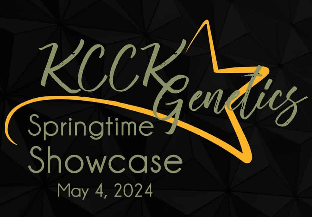 Introducing the 2024 KCCK Genetics Springtime Showcase - Cowsmo