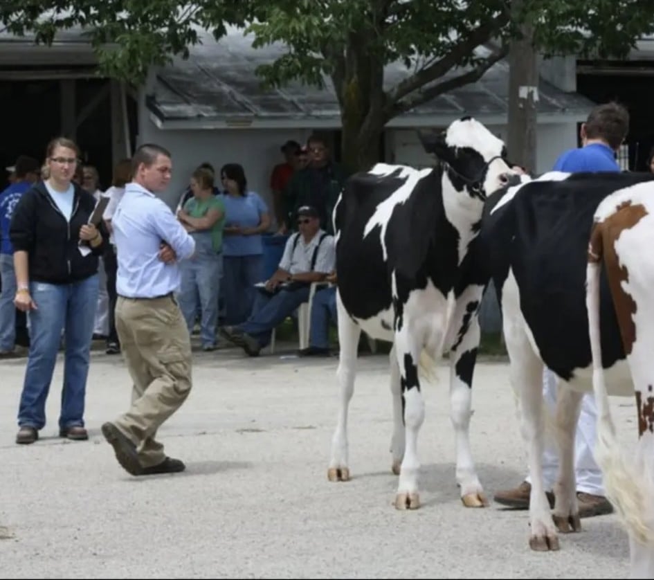 Brandon Ferry, World Dairy Expo 2023 Milking Shorthorn Judge - Cowsmo
