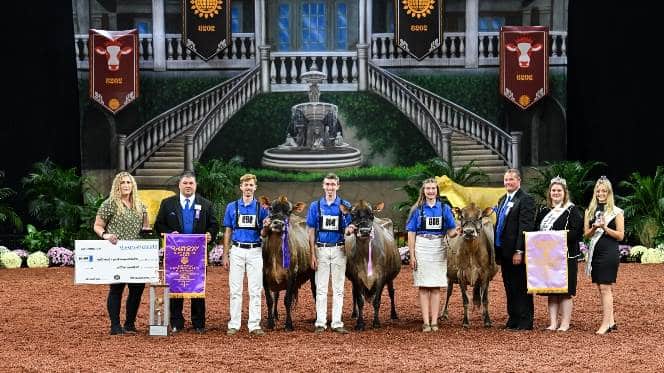 Lucille Leaps to Grand Champion of the International Junior Jersey Show ...