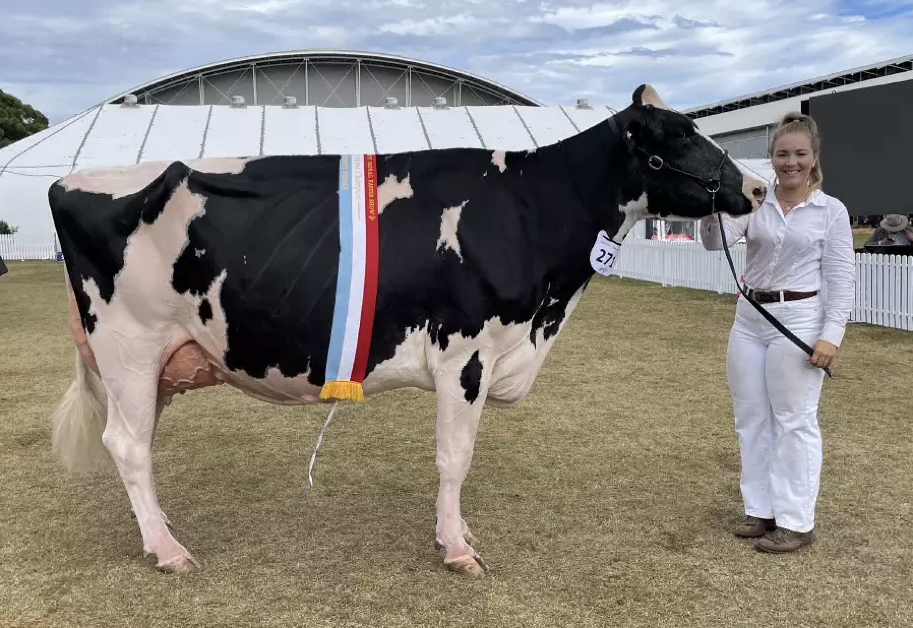 High Octane 5-Year-Old Supreme at Sydney Royal - Cowsmo