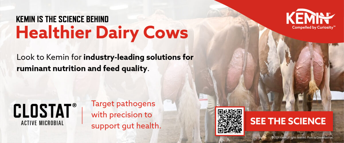 Midwest National Spring Red & White Show 2024 - Cowsmo