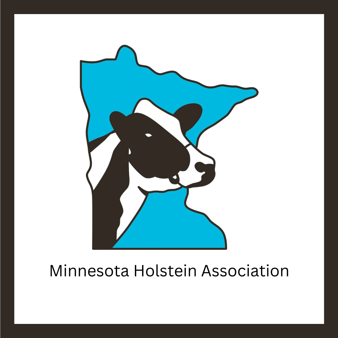 Minnesota State Holstein Shows 2024 - Cowsmo