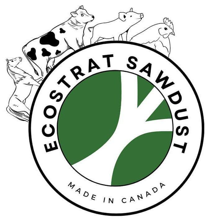 Ontario Summer Show 2024