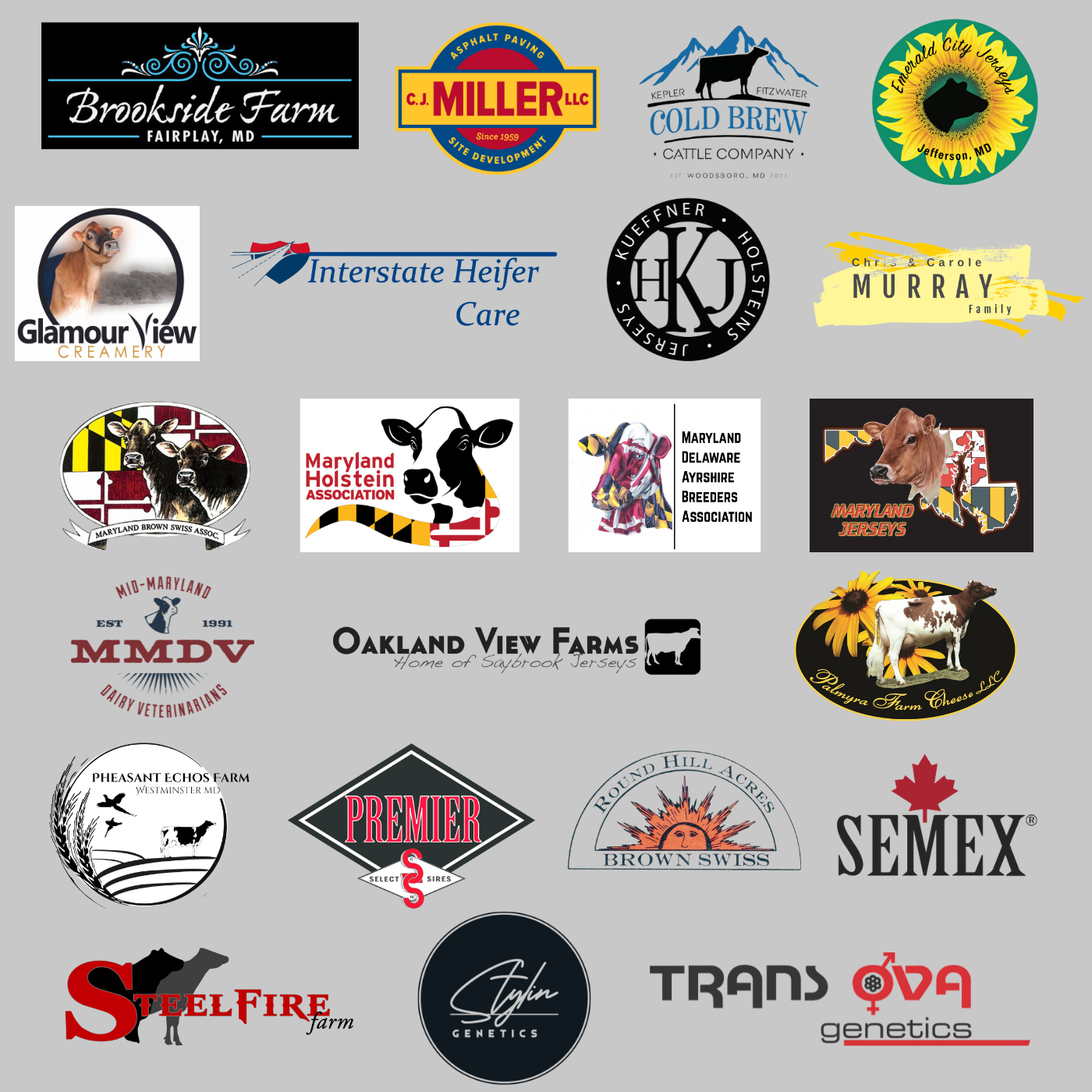 Maryland State Fair Red & White Holstein Show 2024