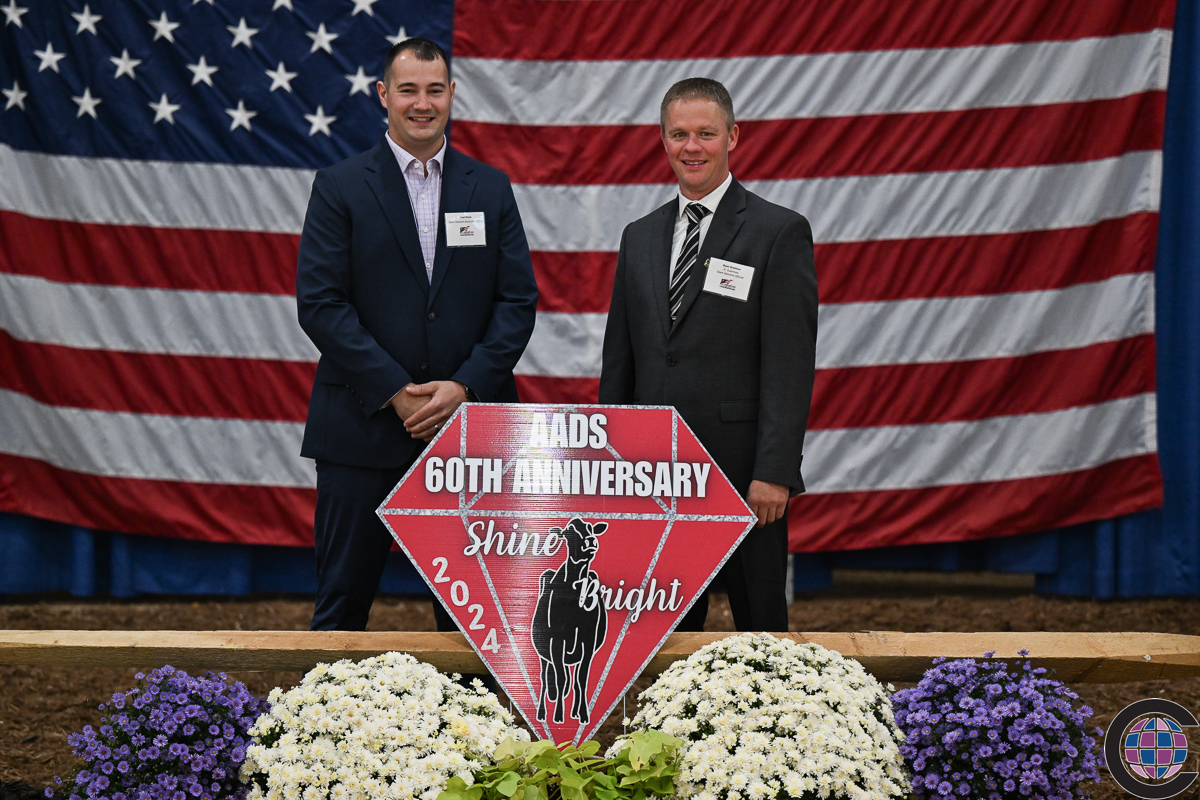 Eastern Fall National Holstein Show