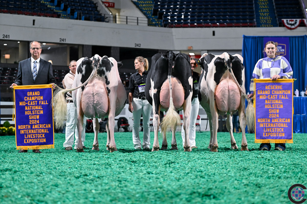 Mid-East Fall National Holstein Show 2024