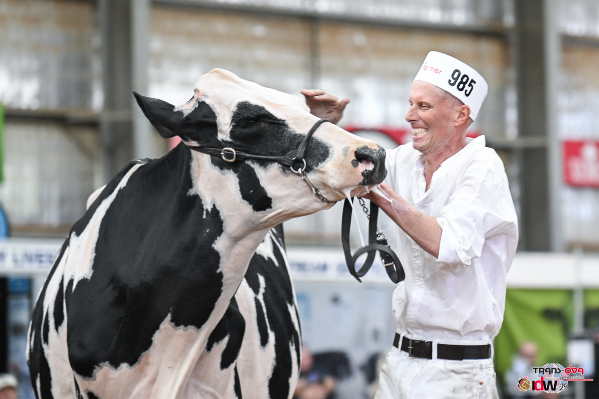 IDW 2025 Australia's National Holstein Show