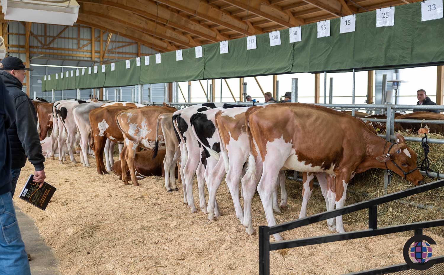 KCCK Springtime Showcase II Sale