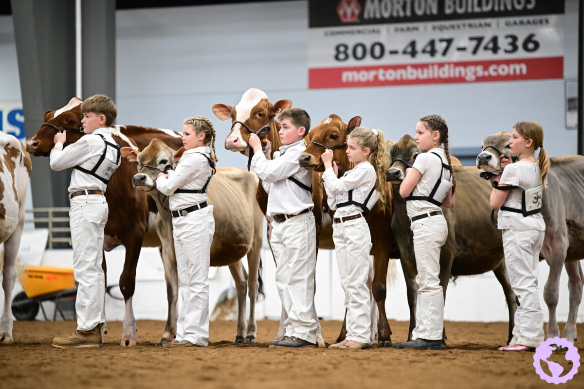 New York Spring Dairy Carousel 2025