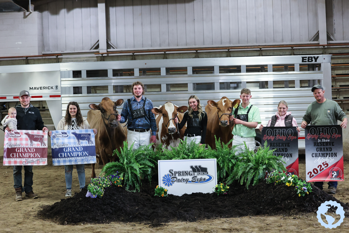 Ohio Spring Ayrshire Show 2025