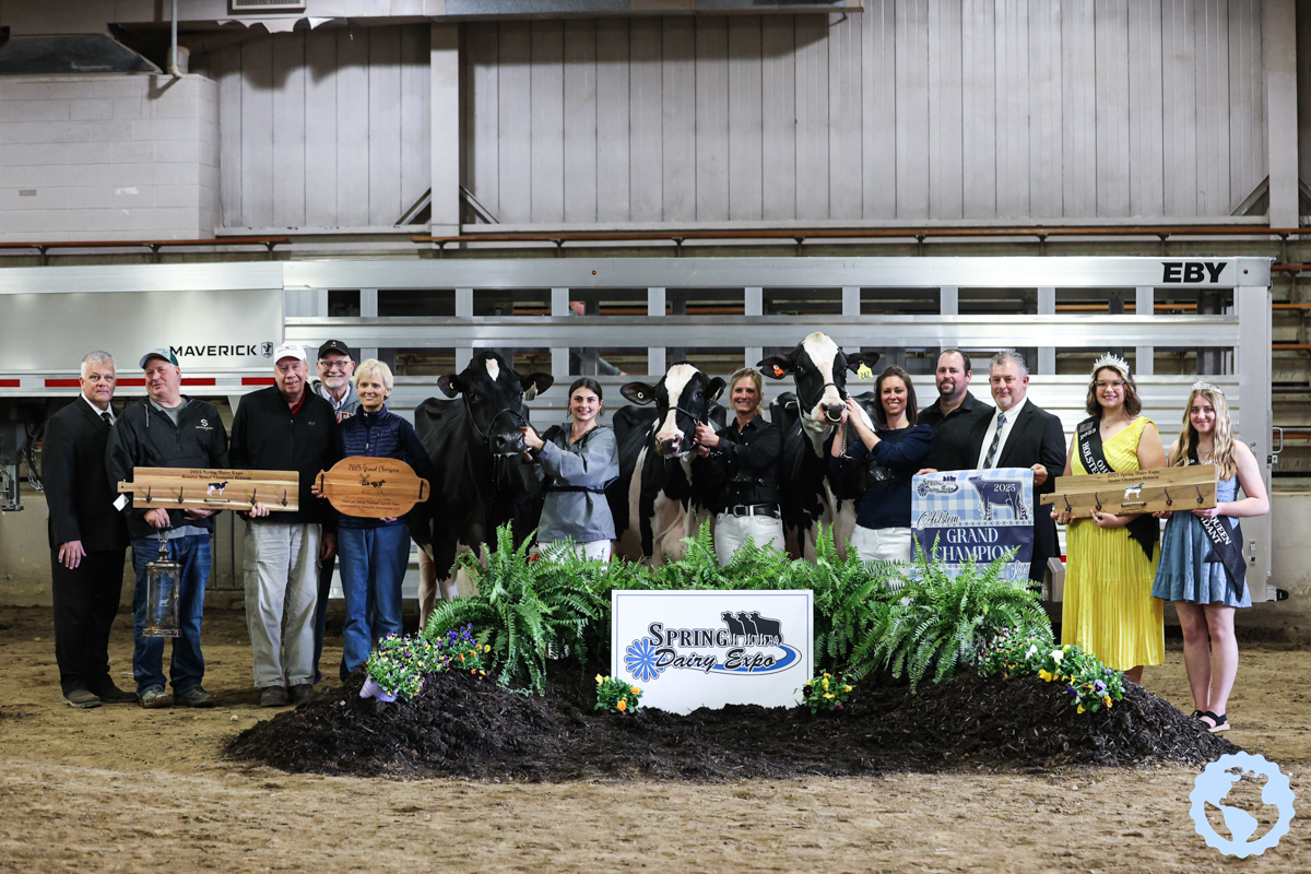 Mid-East Spring National Holstein Show 2025