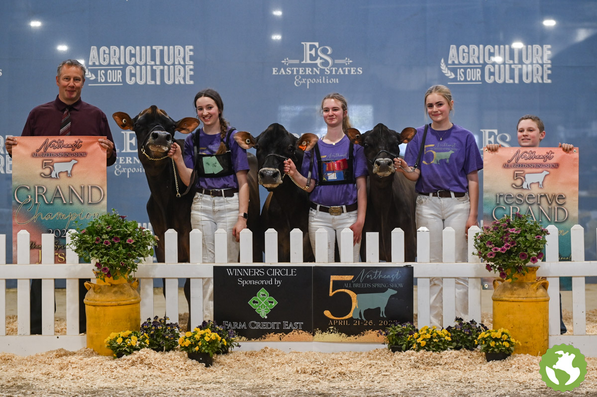 Northeast Spring National Jersey Show 2025