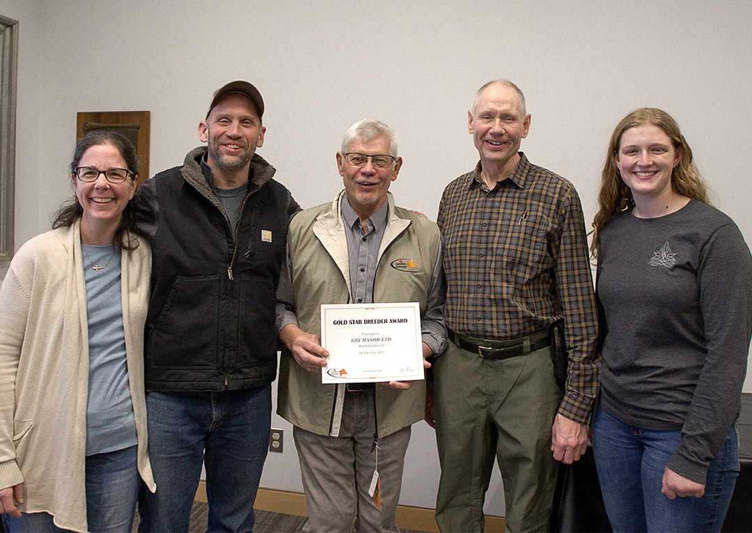 Eby Manor Awarded Canadian Guernsey Gold Star Breeder Honour - Cowsmo