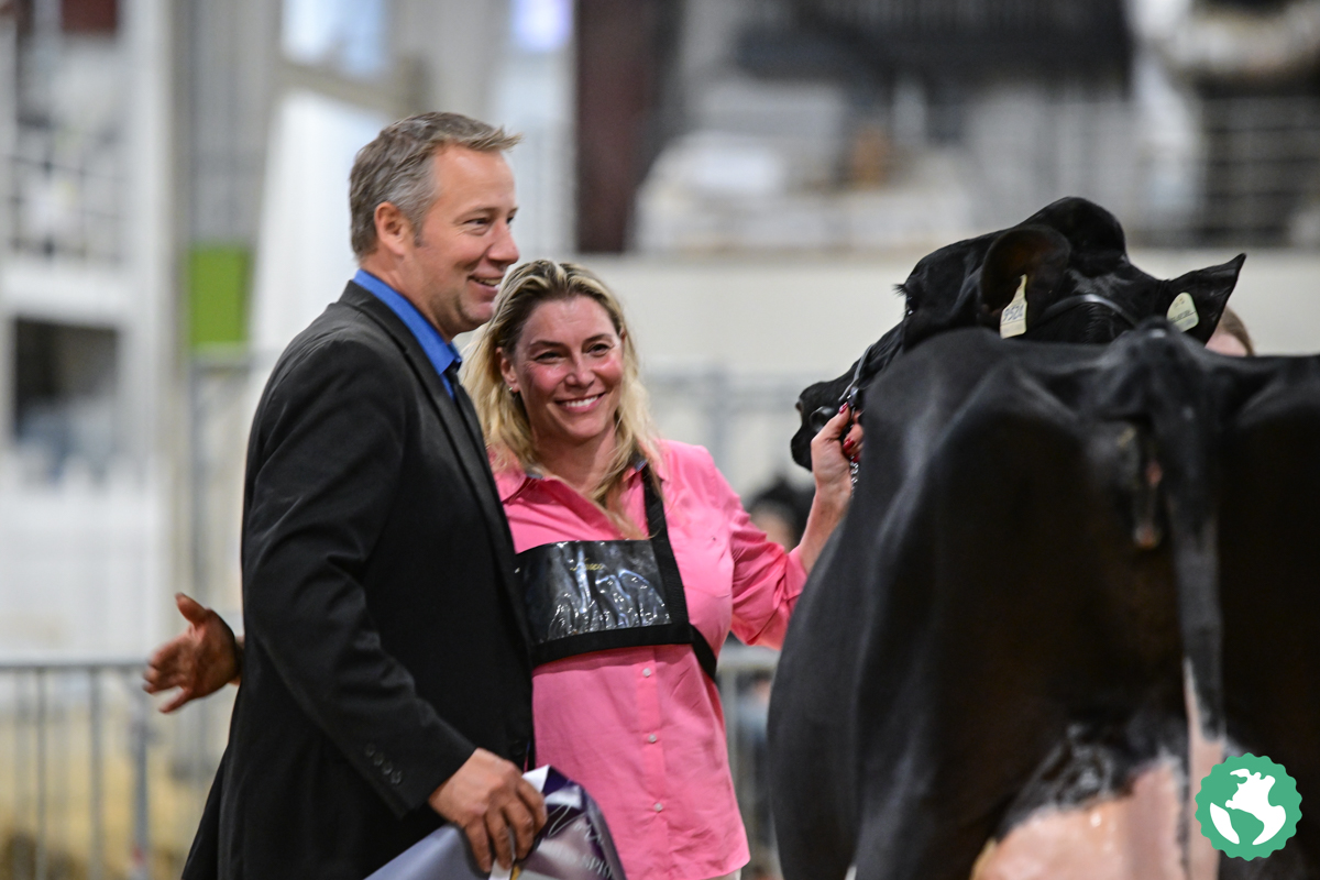 Northeast Spring Holstein Show 2025