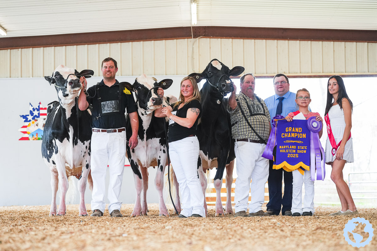 Maryland Spring Holstein Show 2025