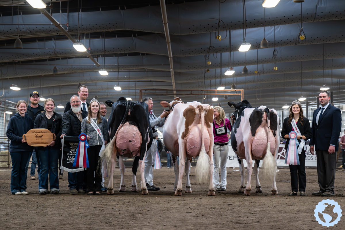 Shows & Sales Archive - Cowsmo