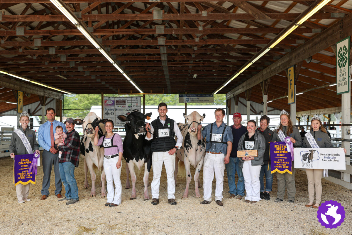 Pennsylvania Spring Holstein Show 2025