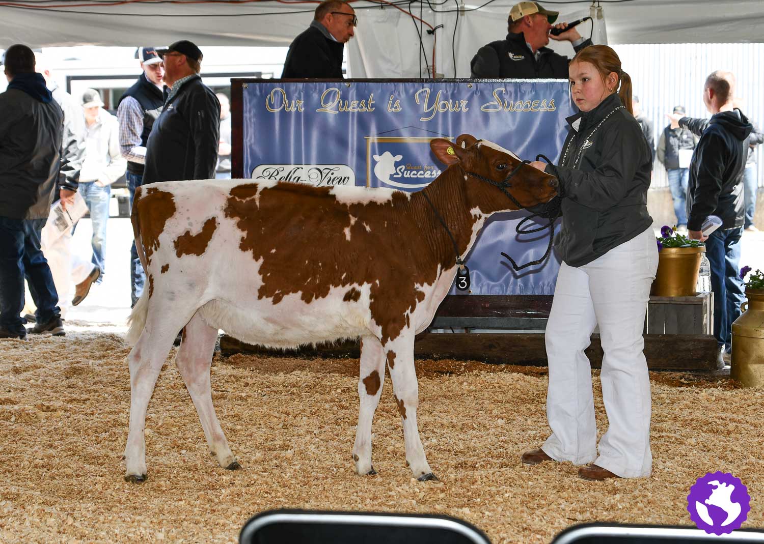 Quest For Success VII