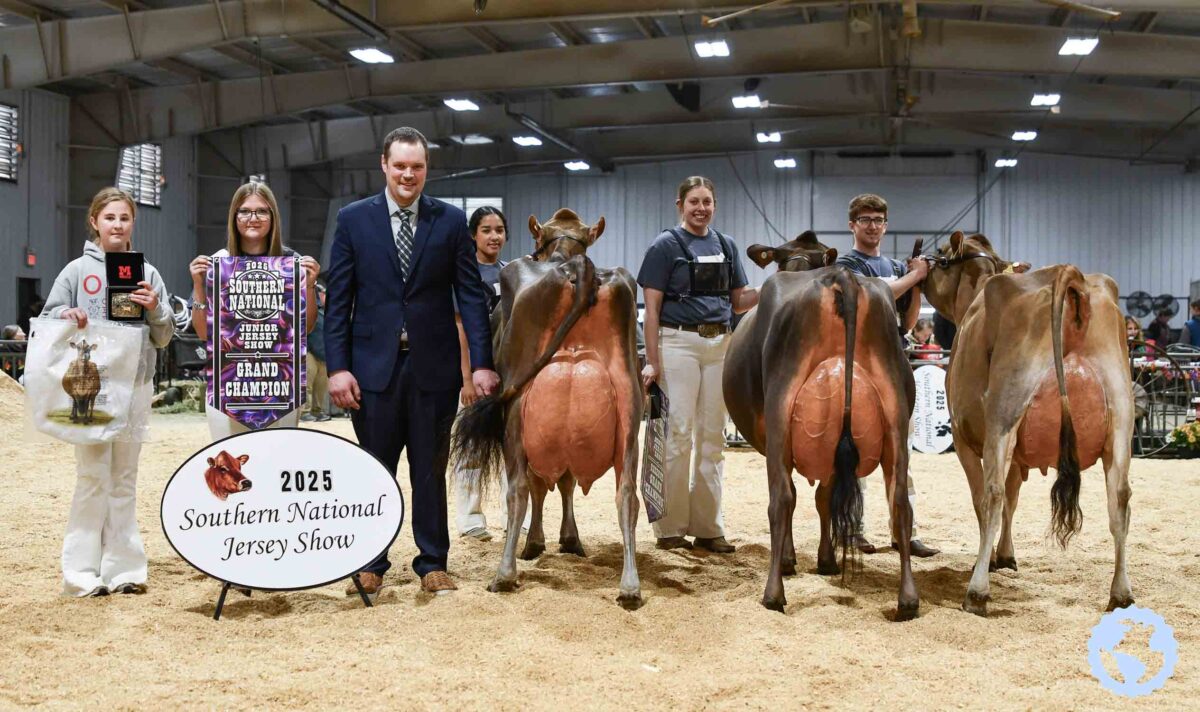 Southern Spring National Jersey Junior Show 2025