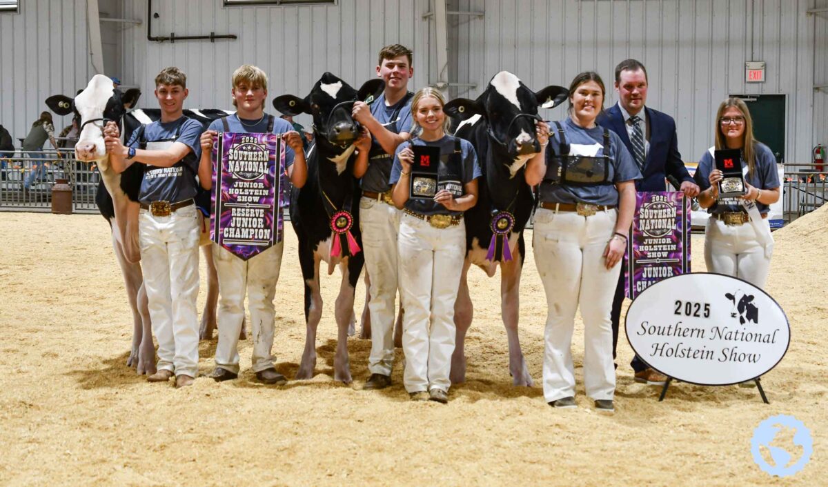 Southern Spring National Holstein Junior Show 2025