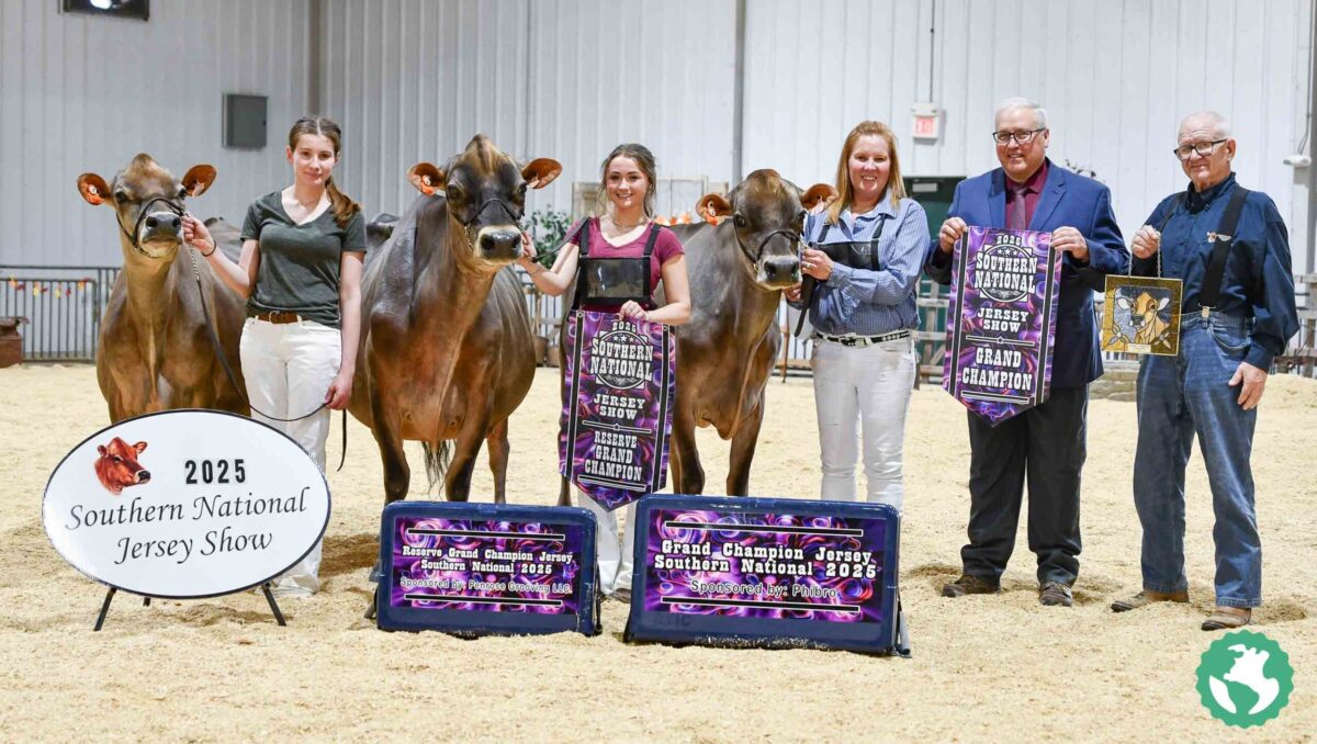 Southern Spring National Jersey Show 2025