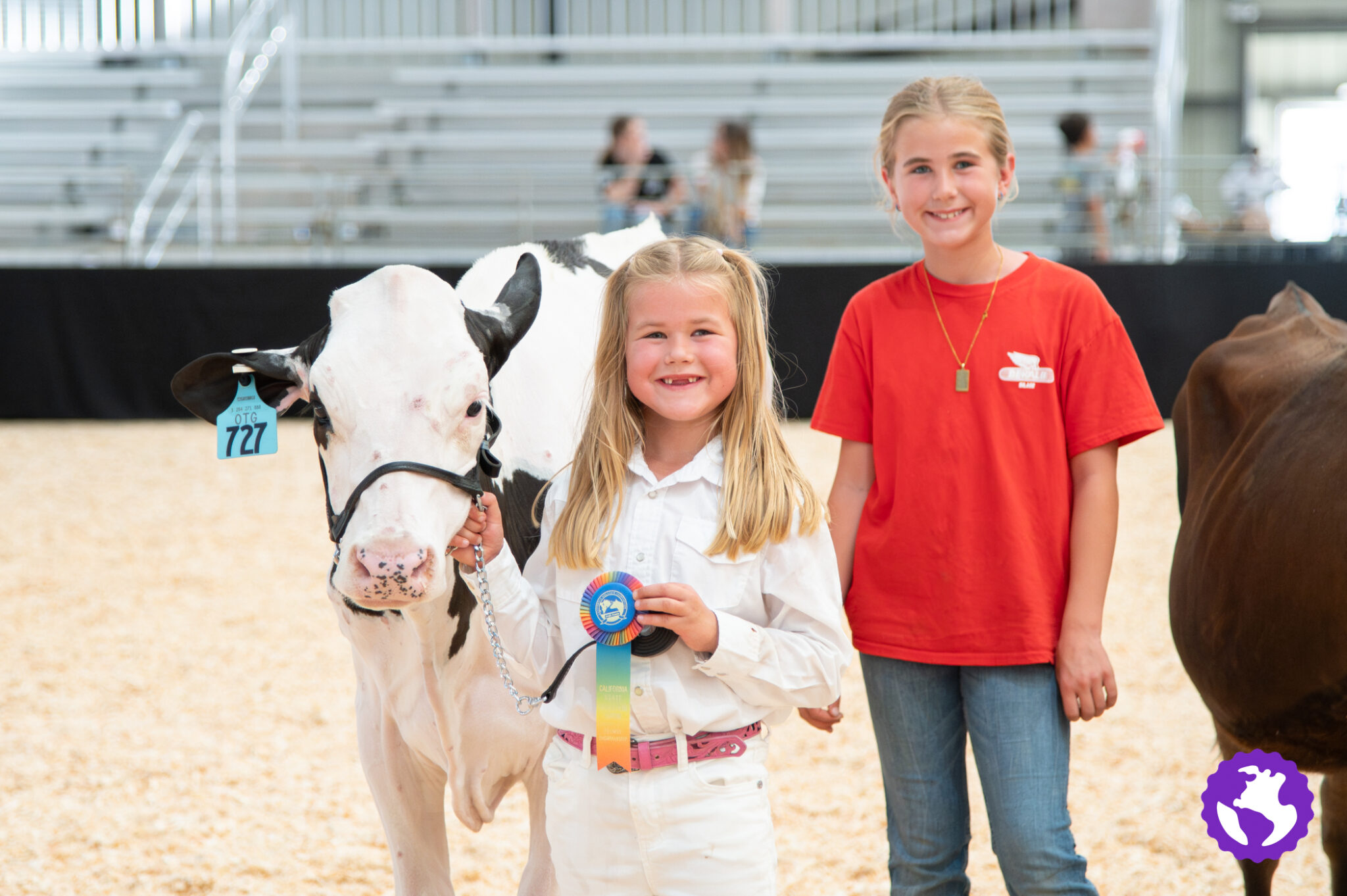 Shows & Sales Archive - Cowsmo