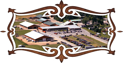 Carson Farms And Auction Services Sold - Cowsmo