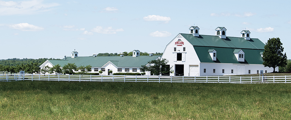 Pineland Farms Sells Its Historic Maine Dairy Herd - Cowsmo