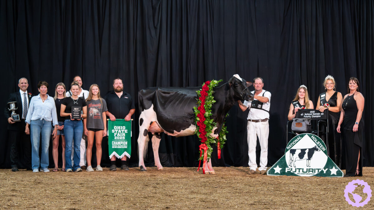 The National Holstein Futurity 2025