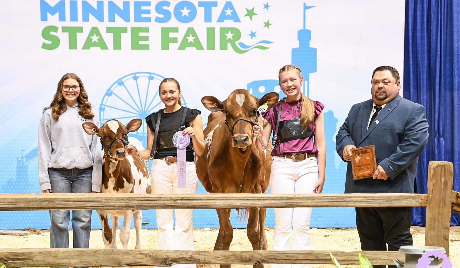 Minnesota State Fair Ayrshire Show 2025