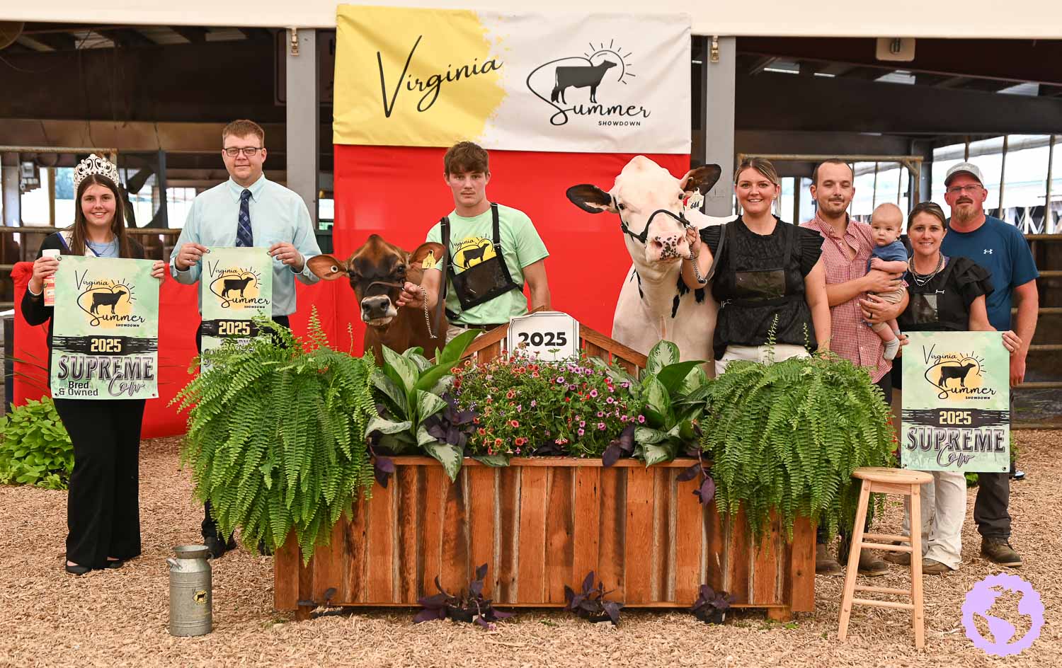 Virginia Holstein Summer Showdown 2025