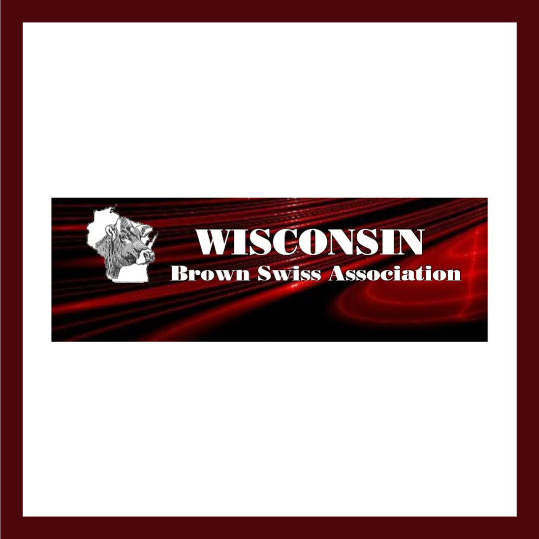 Wisconsin Summer Championship Brown Swiss Show 2025