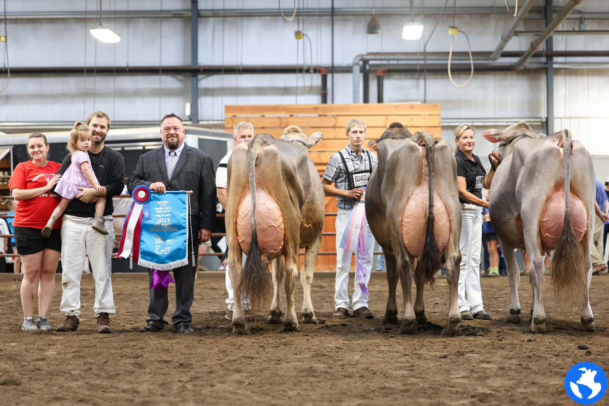 Wisconsin Summer Championship Brown Swiss Show 2025