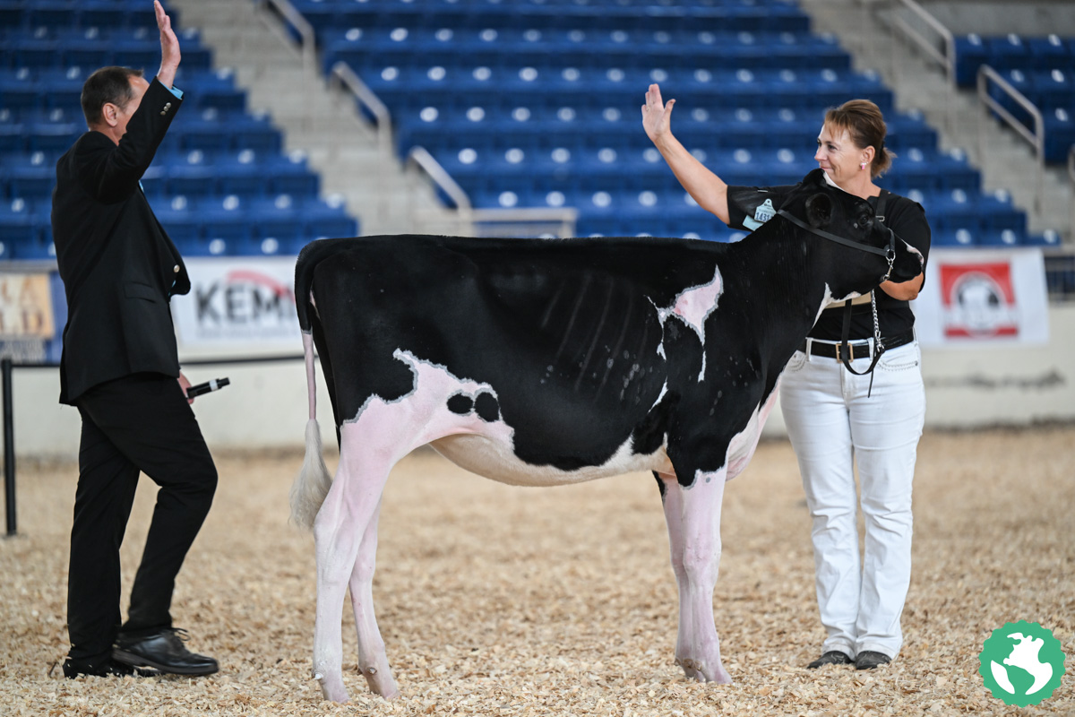 Eastern Fall National Holstein Show 2025