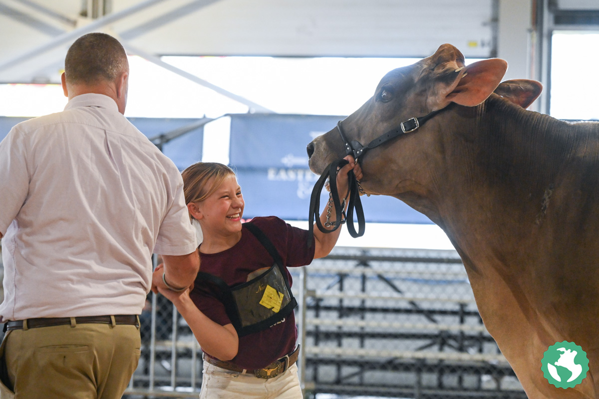 Shows & Sales Archive - Cowsmo