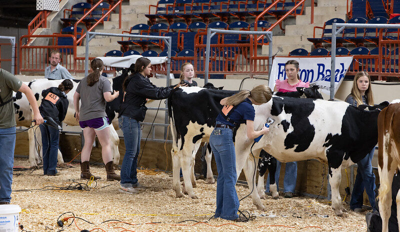 All-American Dairy Show Fitting & Showmanship Judges Announced - Cowsmo