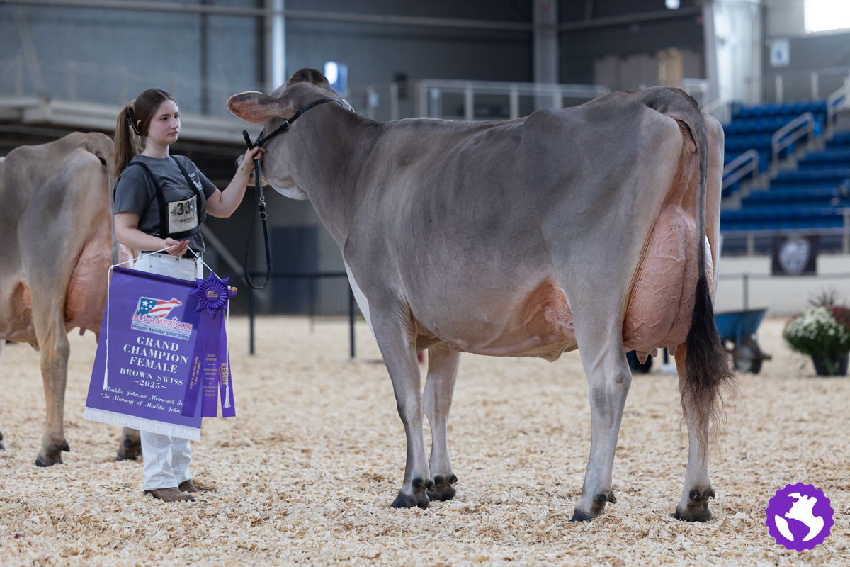 Premier National Junior Brown Swiss Show 2025